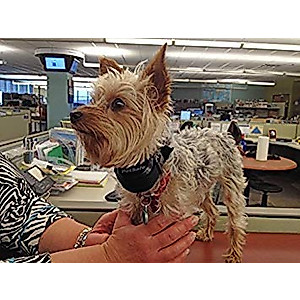 PetSafe Wireless Pet Containment System (2 Dog System - 3/4 Acre)