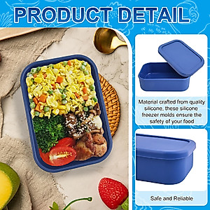 BUWUSMU 4 Pcs 2 Cup Silicone Freezer Trays with Lid Silicone Soup Freezer Molds Rectangle Soup Freezer Containers Reusable Food Preserving Tray Freezing Ice Trays for Soups Sauces Stews Curries(Blue)