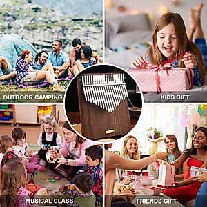 LingTing Kalimba 21 keys Thumb Piano Mbira Finger Piano Gift for Kids Adult Beginners Professional（LT-K21W,rain whisperer)