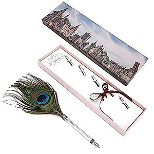 Marhynchus Feather Pen Set Calligraphy Pens Vintage Style Calligraphic Feather Pen Kit Business Gift Student Pen Gift Box Table Decoration with 5pcs Pen Nibs(Type 1)