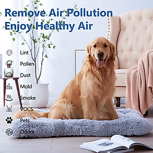 FLT4825 HEPA Filter B Replacement for Guar.dian Air Purifier AC4825 AC4300 AC4800 AC4900 AC4850, 4 HEPA Filter and 6 Pre-Filter