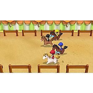 Story of Seasons: Friends of Mineral Town - Nintendo Switch