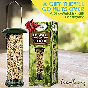 Premium Steel Sunflower Seed and Peanut Feeder, 9.5" Tall, Wild Bird Feeder for Woodpeckers, Titmice, Nuthatches, Chickadees, Jays and More, Gifts for Mom, for Women, Gifts for Dad