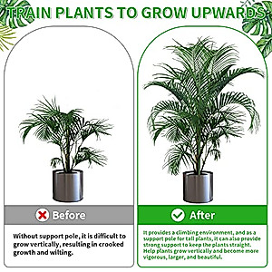 ROADPLUM 5 Pack 27.56" Detachable Twig Plant Support Stakes Set, Blends in to Plant, Branch Plant Sticks with Orchid Clips Twist Plant Ties, Twig Trellis for Indoor Outdoor Plants Potted Plants Flower