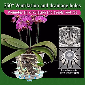 REMIAWY Orchid Pot, 8 Pack Orchid Pots with Holes and Saucers, 5.5 Inch Clear Orchid Pots for Repotting, Plastic Flower Plant Pot Indoor Outdoor, Breathable Slotted Orchids Planter