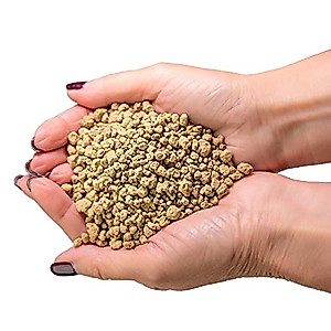 GARDENERA Japanese Hyuga Pumice - Premium Additive for Orchid & Bonsai Tree Soil |Professional Imported Sifted and Ready to Use (1 Quart Bag)