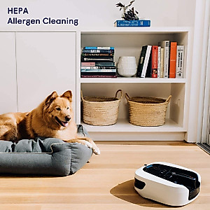 Coral Robots, Inc. Coral One 2-in-1 Vacuum Robot and cyclonic Handheld, Pearl