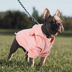 French Bulldog Clothes, Doggie Hoodie Sweatshirt, Dog Sweater for Small Medium Dogs Cats, Dog Hooded Jackets for Pug English Boston Terrier Bully Pitbull Corgi, Chihuahua, Dog Clothes Costume