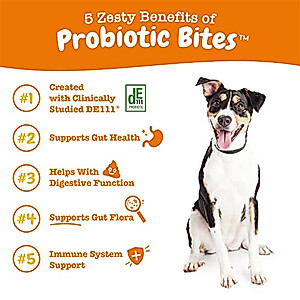 Zesty Paws Probiotic for Dogs - Probiotics for Gut Flora, Digestive Health, Occasional Diarrhea & Bowel Support - Clinically Studied DE111 - Dog Supplement Soft Chews for Pet Immune System – 250 Count