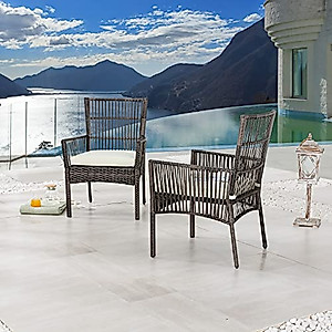 LOKATSE HOME 2 Pieces Outdoor Wicker Chair Metal Dining Armchairs with Cushion, Beige