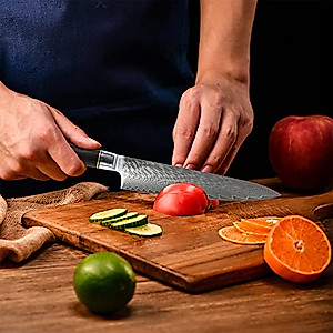 IKYPPAH Damascus Chef Knife 8 Inch, Japanese Aus10 Steel and Ebony handle,in Gift Box