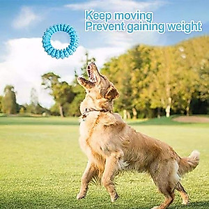 FINLALO Rubber Dog Toys, Pet Supply Outdoor Dog Ring Toy, Chew Toy Supports Dog Dental Health, Puppy Teething Toys for Small Medium Dogs (Blue)