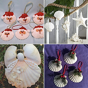 QEQEKAKA 6PCS Scallop Shells 4‘’-4.5" Natural Sea Shells White Hawaiian Scallop Shells for Baking DIY Craft Home Vase Fillers & Beach Wedding Party Decor