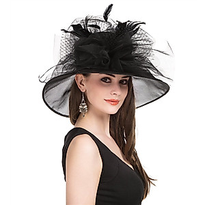 Saferin Womens Church Dress Kentucky Derby Wedding Veil Floral Tea Party Hat Black Feather Mesh Flower Free size