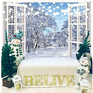 BINQOO 7x5ft Winter Landscape Window Photography Backdrop Christmas Snow Trees Scenery Background Baby Shower Kids Birthday Party Portrait Photo Studio Props