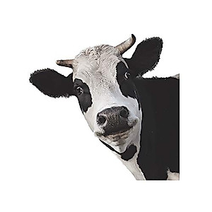Cow Window Cling,Cow Lover Gift Window Decal,Cute Animal Wall Decor, Weird Stuff Wall Decor for Farmhouse Classroom Office Kids' Room