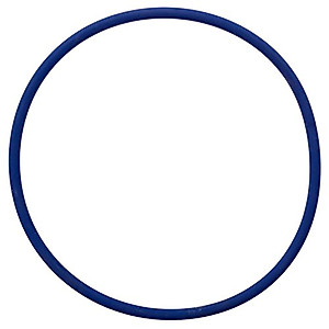 Pool Ruler CLX200K Chlorine Resistant VITON O-Ring Two Pack + Lubricant for Hayward Pool Chlorinator Chemical Feeder Lid CL200 & CL220