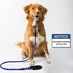 Brilliant Paw Strong Rope Dog Leash 5Ft, Durable Nylon Dog Leash, Dog Lead, with Highly Reflective Thread and Comfortable Soft Padded Handle, Heavy Duty Dog Leash for Medium, Large Dog, Navy Blue…