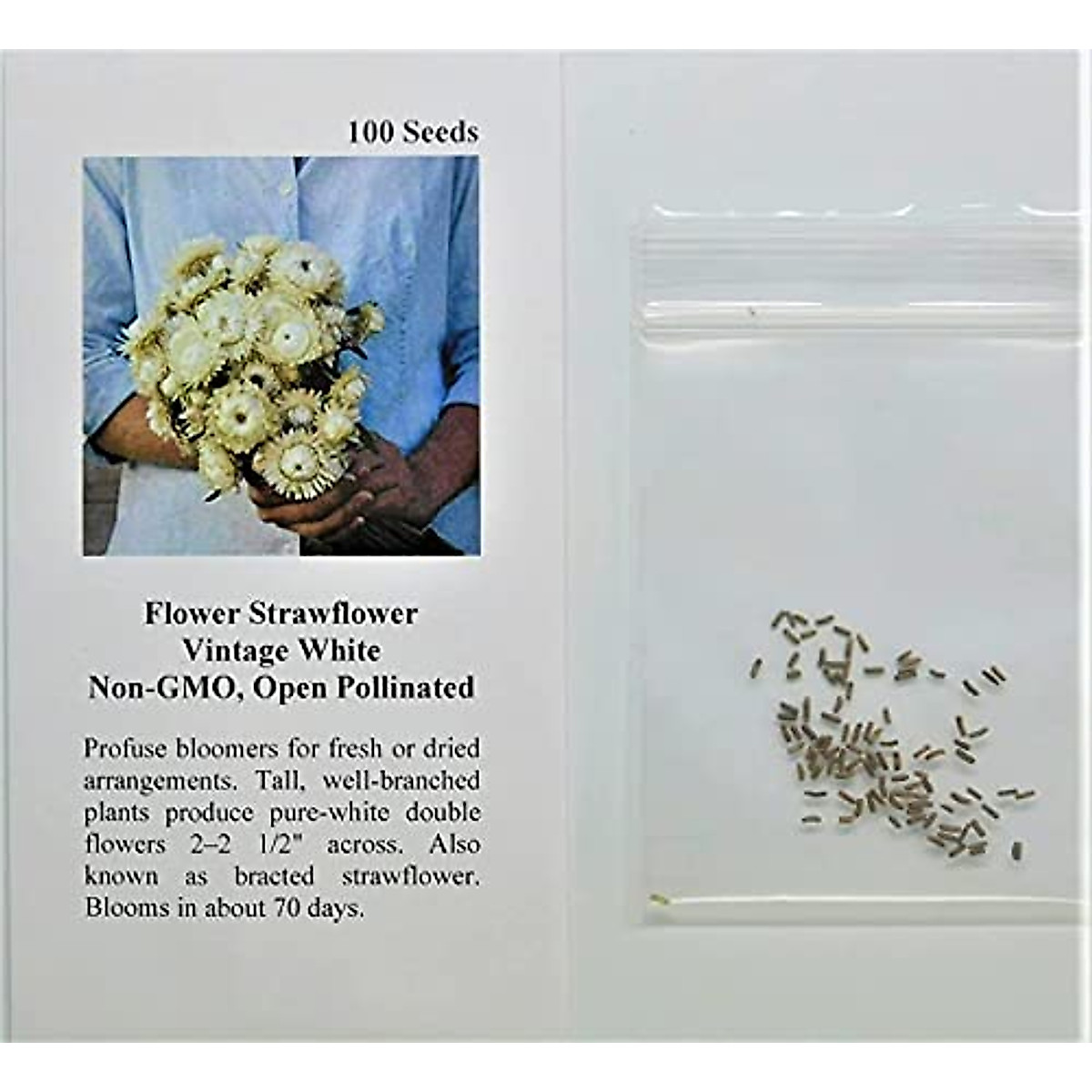 David's Garden Seeds Flower Strawflower Vintage White FBA-8487 (White) 100 Non-GMO, Heirloom Seeds