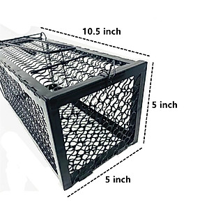 Mouse Trap Catch and Release Humane Animal Rodent Cage, Trap Mice, Rats, Chipmunks, Squirrel, Indoor and Outdoor, Easy to Use