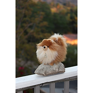 Aurora® Realistic Miyoni® Pomeranian Stuffed Animal - Lifelike Detail - Cherished Companionship - Brown 9 Inches
