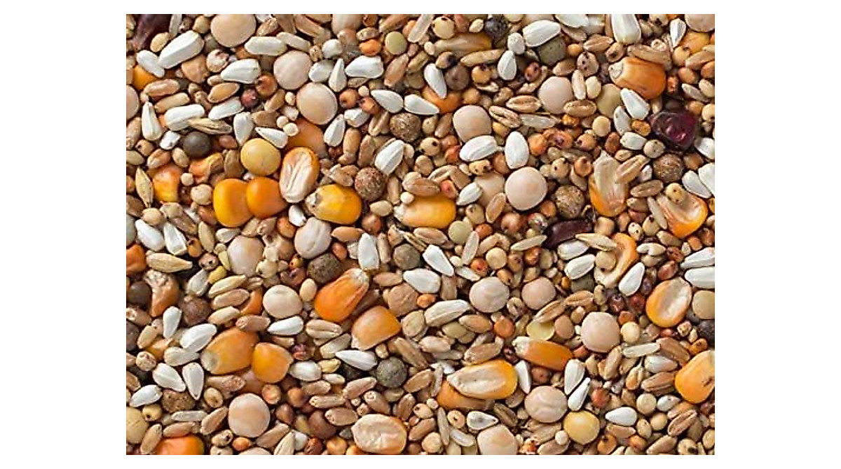 Premium 22 Pigeon Mix - Nutritious Blend for Pigeons