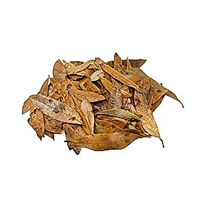 The Bio Dude Leaf Litter - Live Oak Litter - Great for bioactive terrariums, vivariums and Fish