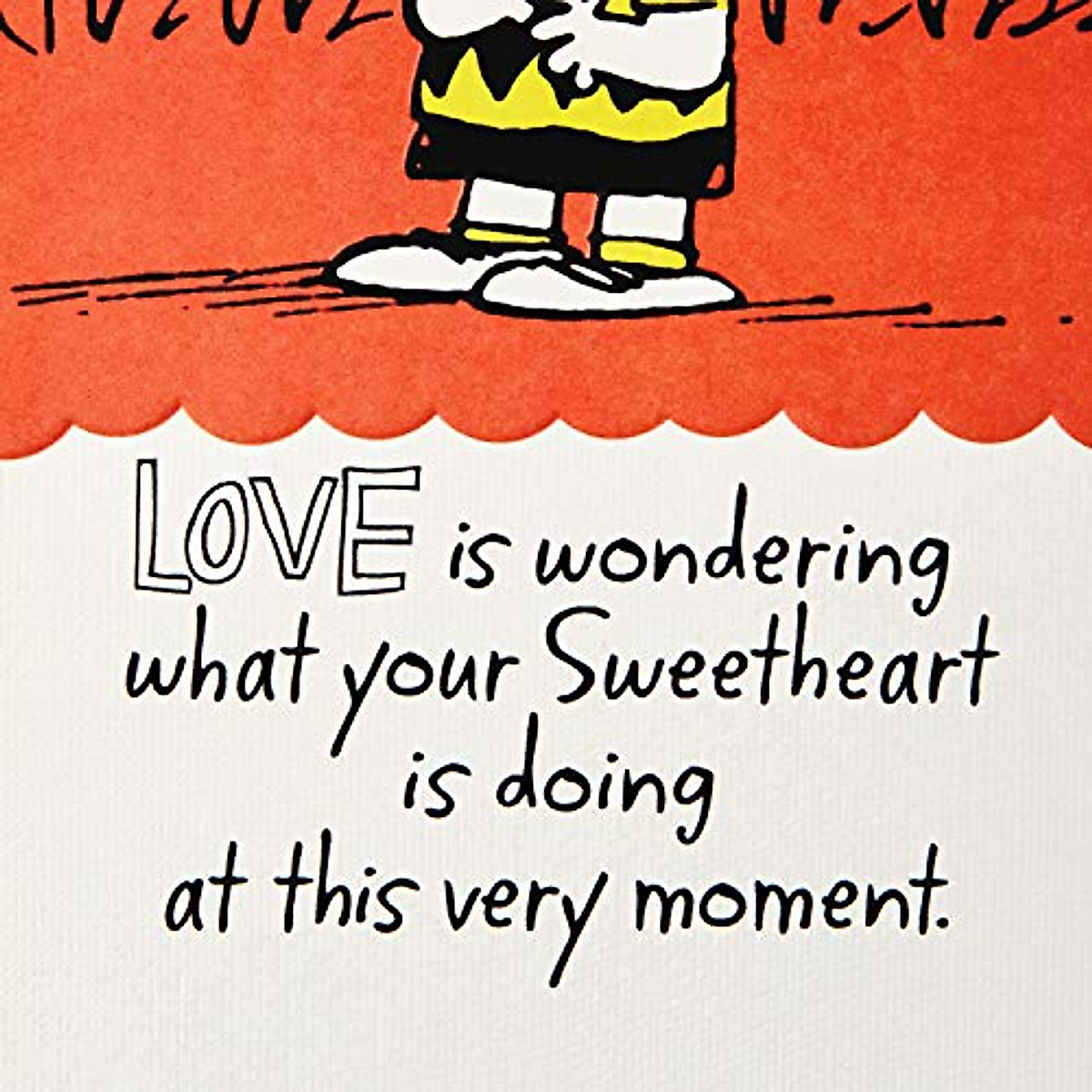 Hallmark Anniversary Card (Peanuts Vignette) (0399RZB1111)