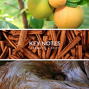 Territoire Eau De Parfum, Men's Cologne (Cobalt)