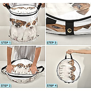 xigua Jack Russell Terrier Puppies Pop Up Laundry Hamper Bucket Cylindric, Foldable Clothes Bag, Folding Washing Bin,Large Capacity Zipper Lid Laundry Storage Basket