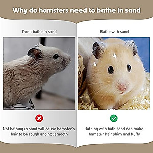 small pet Hamster Sand Bath Container, Transparent Plastic Toilet with Sand Scoop Set, Bath tub Bathroom Special Animals Cage Accessories