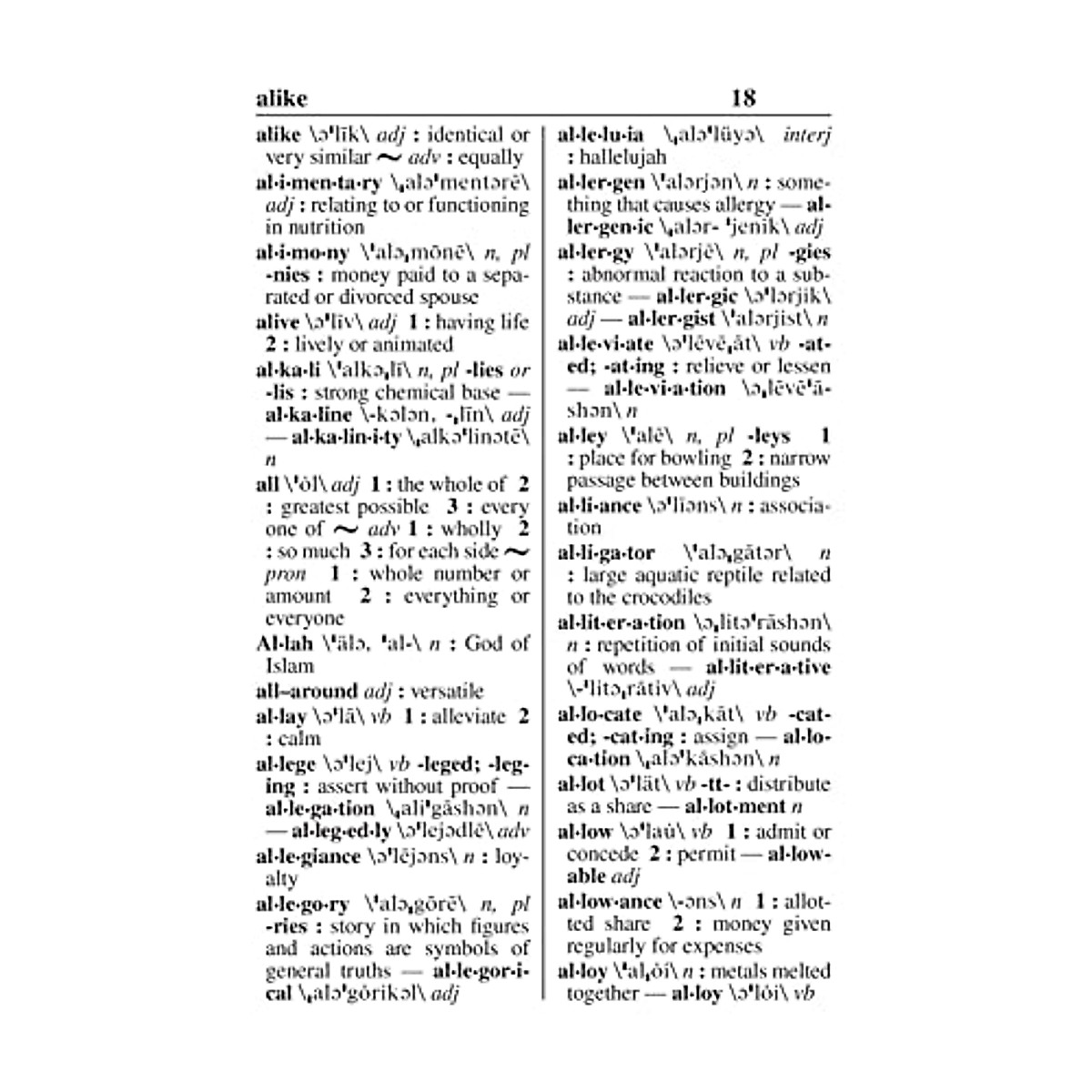 Webster's New Explorer Large Print Dictionary, Third Edition, Newest Edition