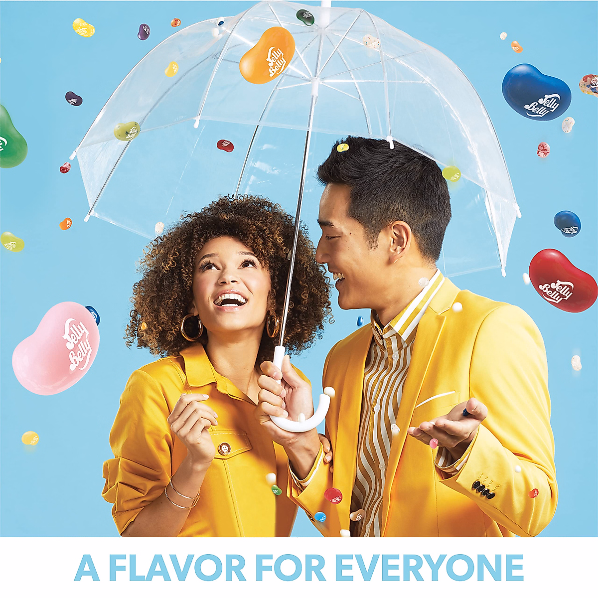 Jelly Belly Pomegranate Jelly Beans - 1 Pound (16 Ounces) Resealable Bag - Genuine, Official, Straight from the Source