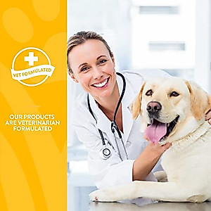 NaturVet GrassSaver| Wafers for Dogs – Help Keep Grass Green, Rid Your Lawn of Yellow Patches Caused by Dog Urine| No More Yellow Spots| DL-Methionine & Enzymes – 300 Ct