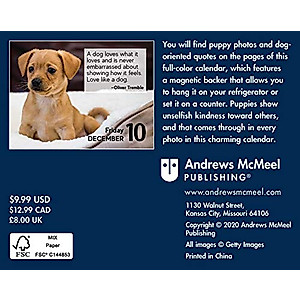 Puppies 2021 Mini Day-to-Day Calendar