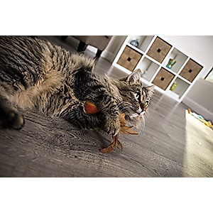 SmartyKat (2 Count) Flutter Balls Feather Cat Toys - Multi Color, 2 Count