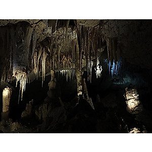 Nikon digital camera COOLPIX P610 (Black) P610BK [Camera]