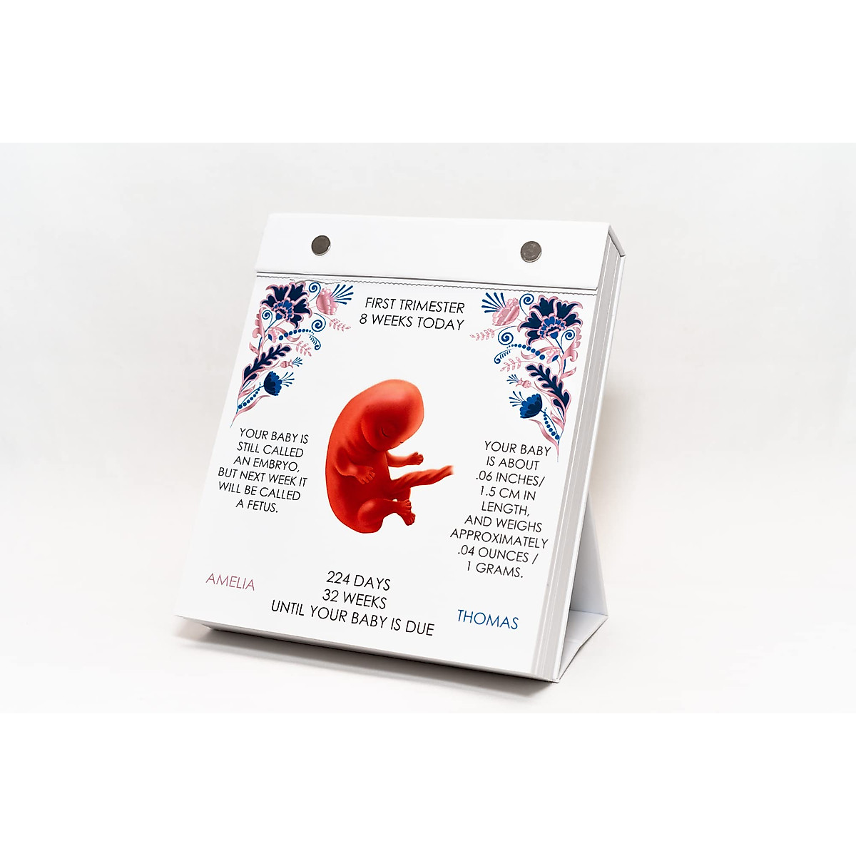 Baby On The Way - Day By Day Pregnancy Calendar, Pregnancy guide, Pregnancy gift, daily countdown planner, pregnancy journal, Keepsake Journal, pregnancy keepsake, pregnancy journal, new mom gift