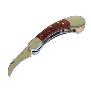 HANZIUP Folding Mushroom Knife with Neoprene Pouch Solid Wood Handle and Foldable Cleaning Brush