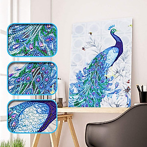 HAPPIShare 5D DIY Full Diamond Painting Rhinestone 3D Peacock Pictures of Crystals Embroidery Kits Arts, Crafts & Sewing Cross Stitch