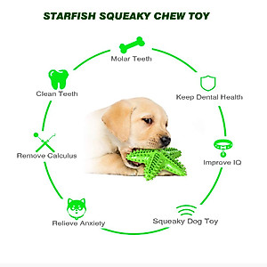 IDOLPET Dog Chew Toys Squeaky Dog Toys Dog Water Floating Toys Starfish Natural Tooth Brush Teeth Cleaning Toy for Small Medium Dog (Green)
