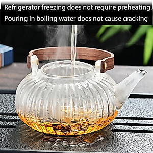 Motanber Pumkin Glass Teapot,Stovetop & electric stove Safe,clear kettle with infuser,27 oz(800ml), For Blooming Flower Tea and Loose Leaf Tea Maker Set