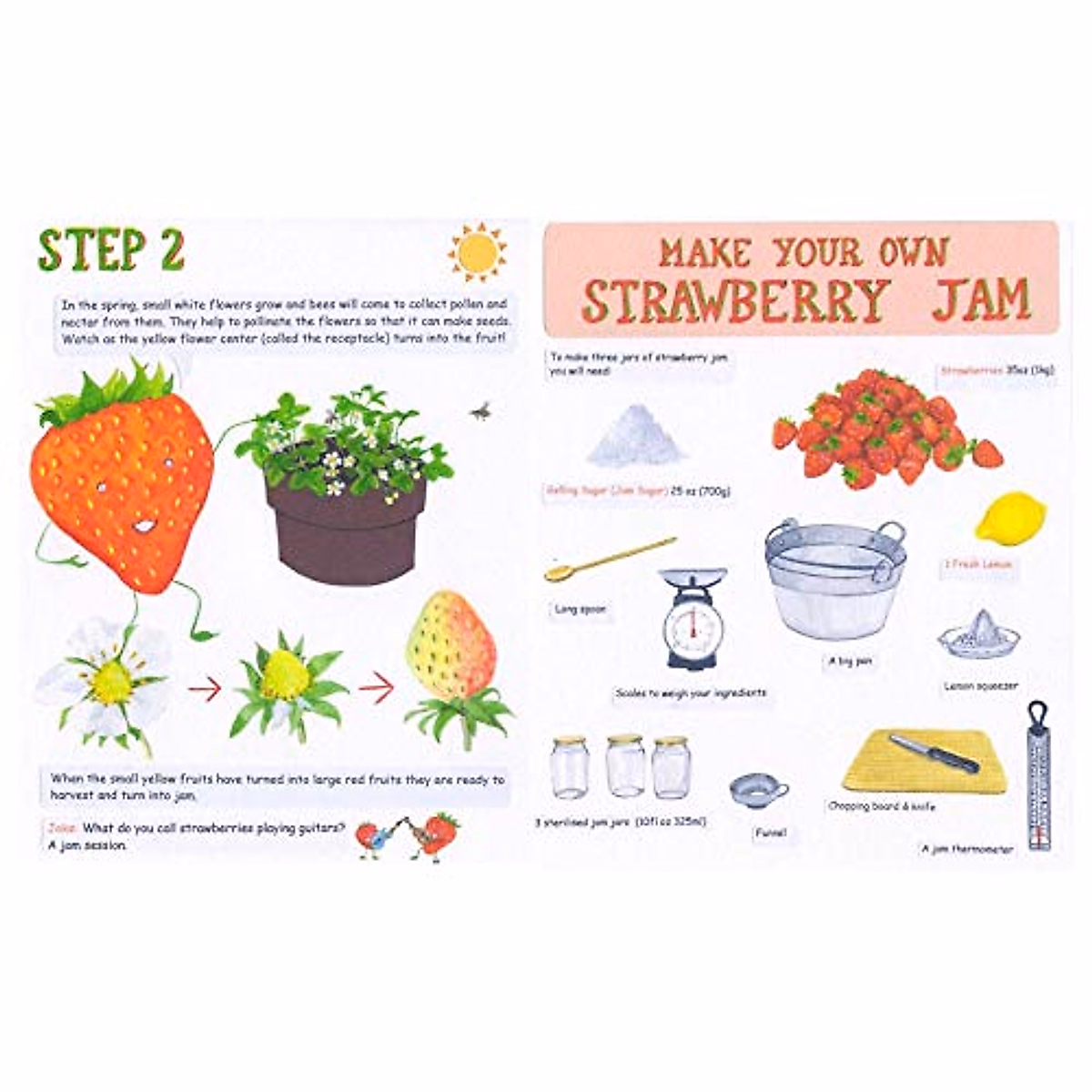 Jam and Jelly: A Step-by-Step Kids Gardening and Cookbook (Grow Your Own Ingredients)