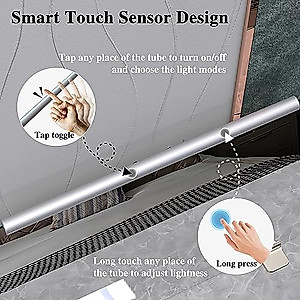 LETSFIELD Silver Lighted Vanity Mirror, LED Lighted Makeup Mirror with Aluminum Stand, Smart Touch Control, 3 Colors Lights