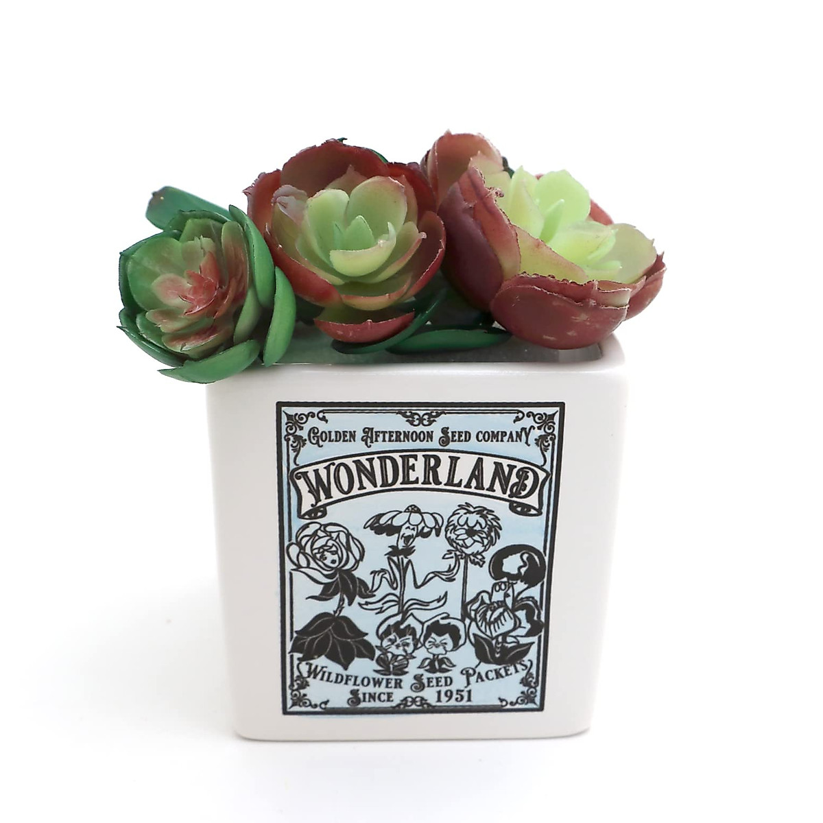 Alice's Adventures in Wonderland, indoor planter, container, Lennymud by Lorrie Veasey