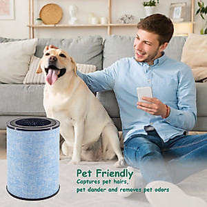 Asheviller AP300 Filter Replacement, Compatible with Instant® AP300 Air Purifier, H13 Grade True HEPA Filter and Activated Carbon Filter, Compare to F300 Filter,2 Pack