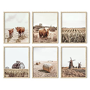 HAUS AND HUES Highland Cow Art and Farmhouse Wall Decor Cow Wall Art and Farmhouse Prints Unframed, Cow Painting, Cow Prints Wall Art, Farm Pictures Wall Decor, Cow Wall Décor
