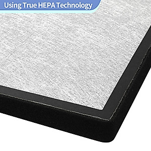 Gazeer True HEPA Filter Replacement Compatible with Levoit LV-PUR131 LV-PUR131-RF HEPA & Activated Carbon Filters, 2 Sets