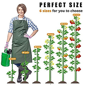 LAVEVE Garden Stakes 48 Inches Heavy Duty Steel Tomato Stakes, Plastic Coated Support Stakes for Securing Trees, Climbing Plants, Cucumber, Beans, Pack of 20