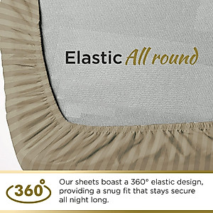 Twin XL 100% Microfiber Double Brushed Sheet Set - Extra-Soft & Wrinkle-Free - 15" Deep Pockets, 39" x 80" - Ideal for Dorms, Hospitals & Split King Beds - 3 PC Set (Twin XL, Khaki Stripe)